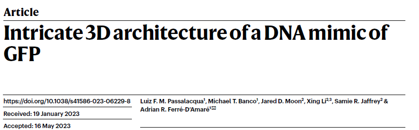 Nature | 解密可模拟绿色荧光蛋白（GFP）的DNA复杂三维结构-欢迎访问空军军医大学（第四军医大学）
